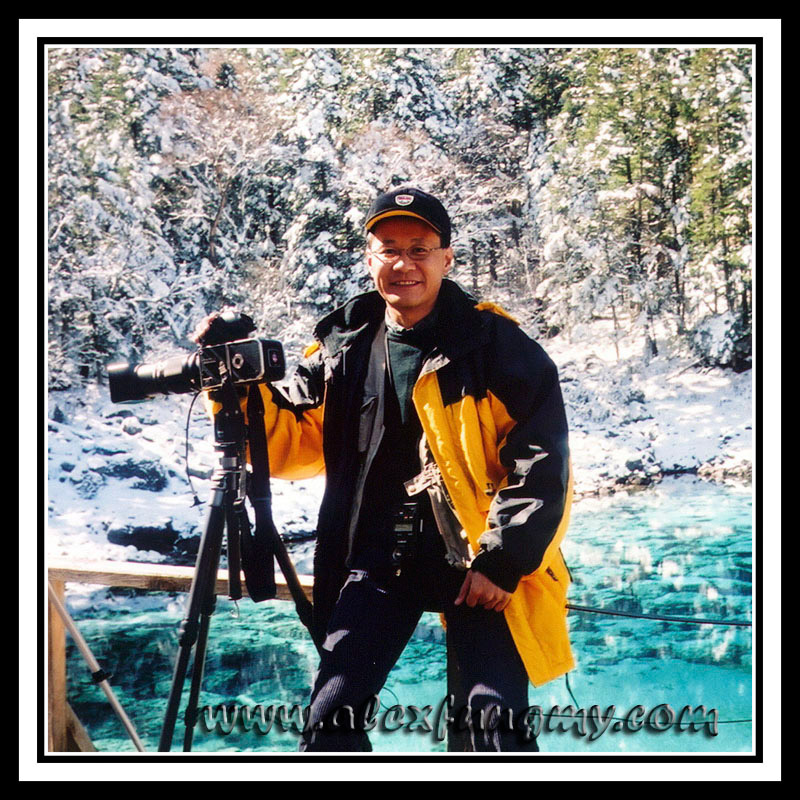 Alex Fung Biography 馮敏如簡介